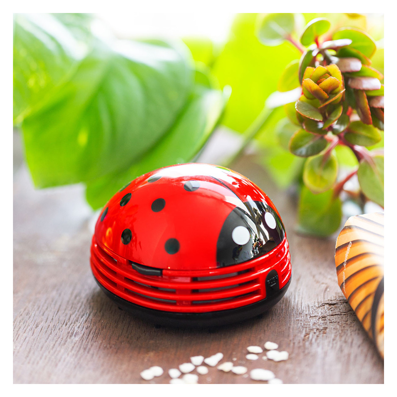 Tabletop vacuum cleaner - Aspimiette - Ladybird - Pylones