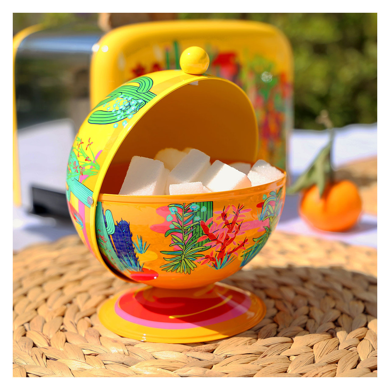 Sugar pot - Cactus - Pylones