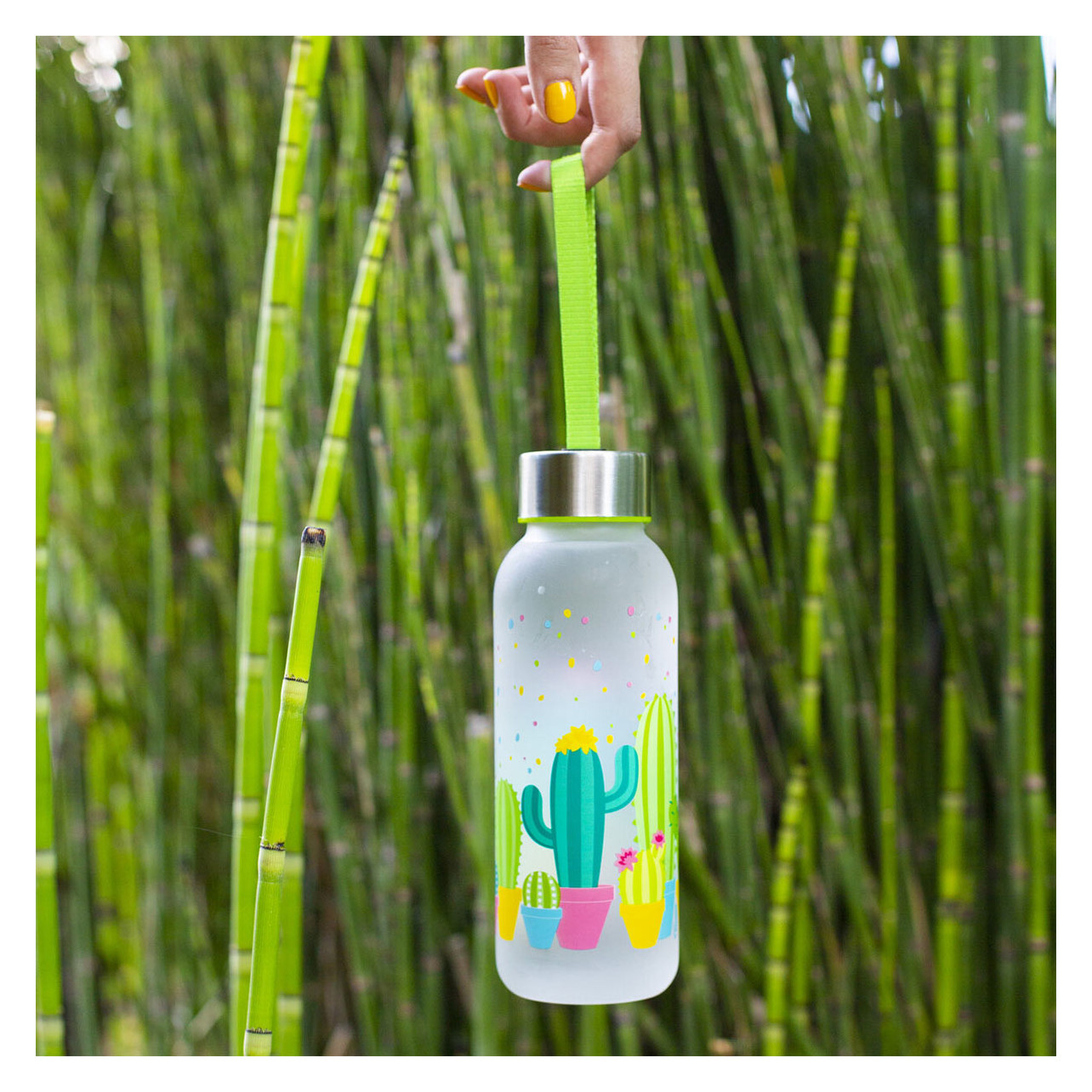 Flask - Happyglou - Cactus - Pylones