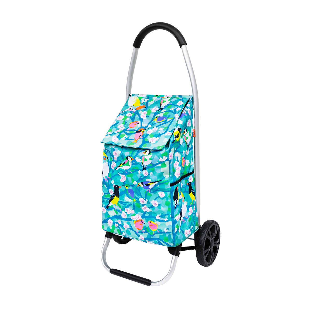 Carrello della spesa - Pylones