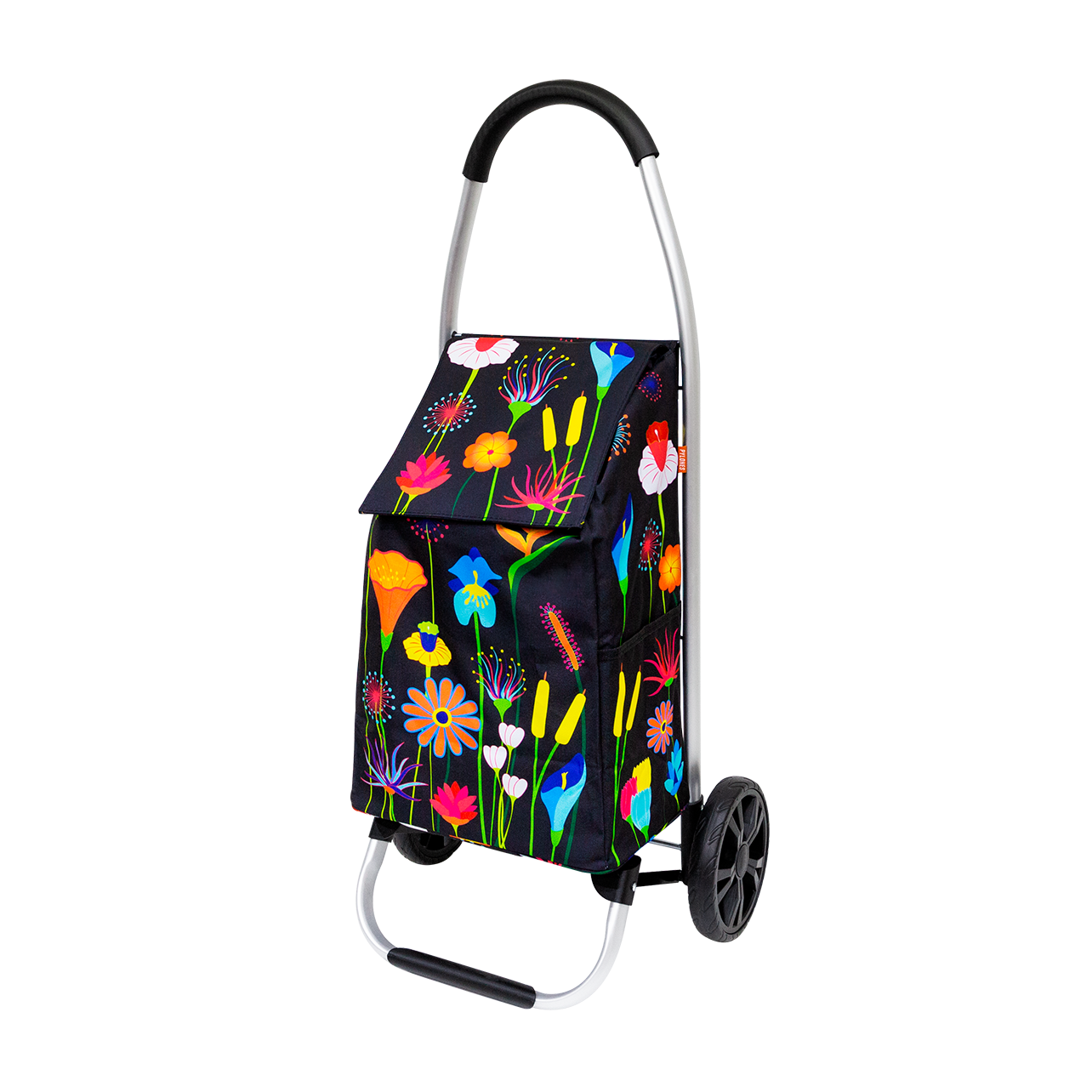 Carrello della spesa - Pylones