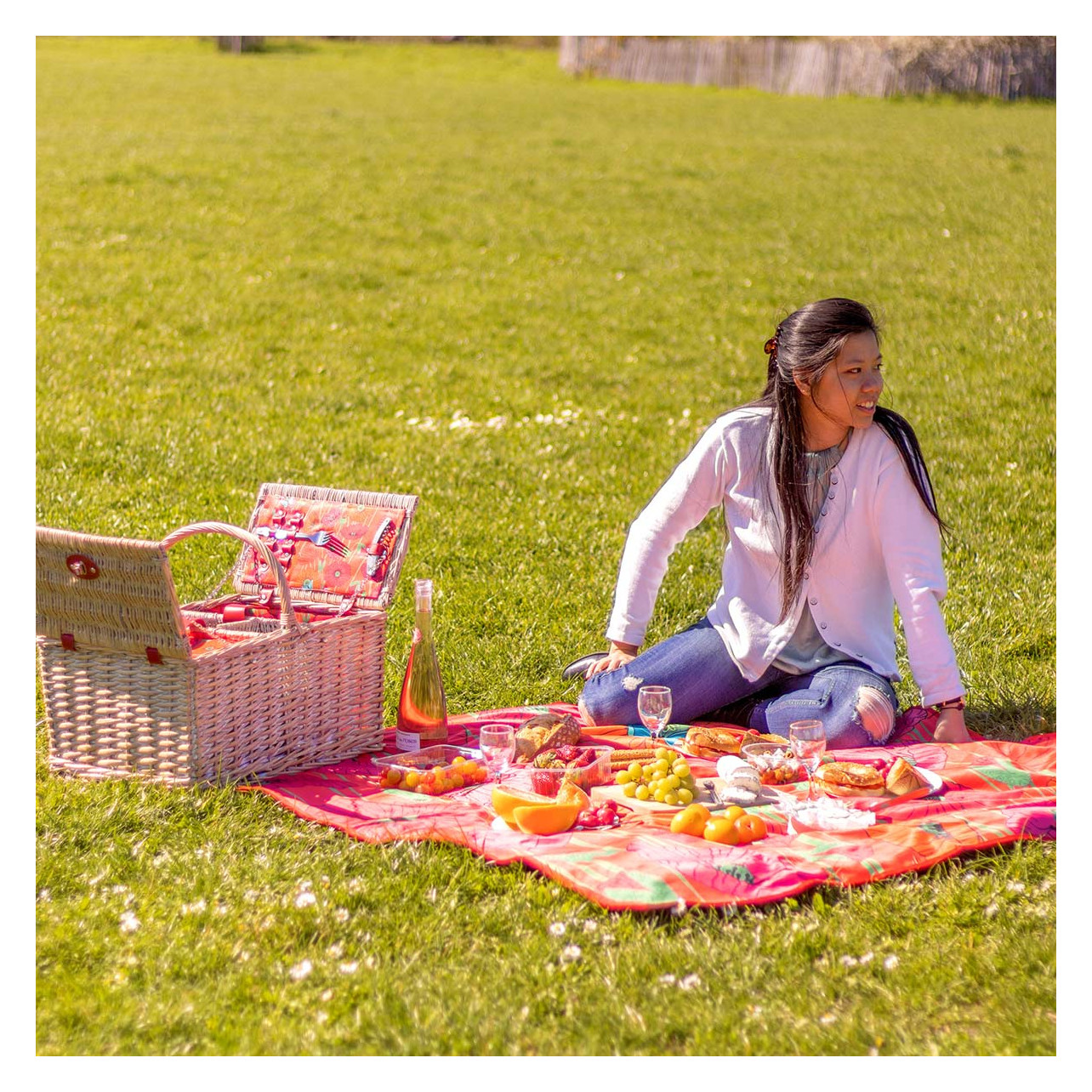 - Coquelicots - Pylones