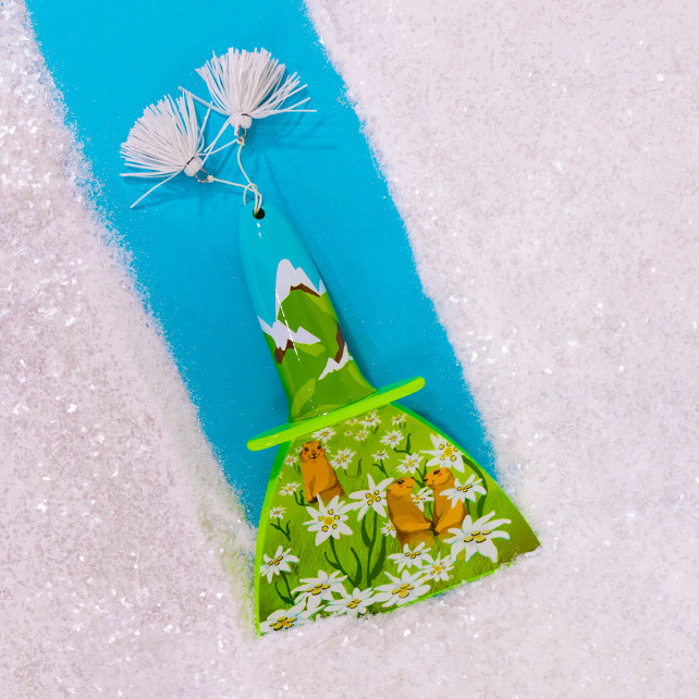 Eiskratzer - Ice Screen - Edelweiss - Pylones