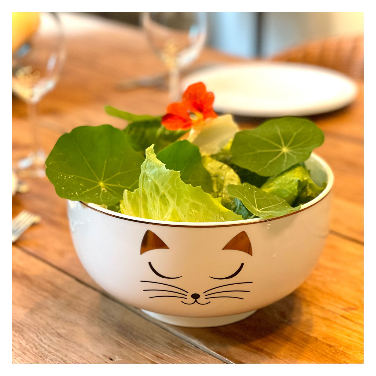 Salad bowl - Matinal Salade - White Cat - Pylones