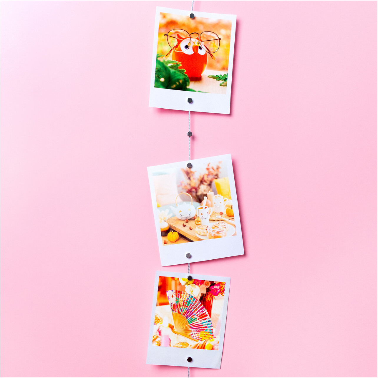 Photo holder cable and magnets - Magnetic Cable - Photo - Pylones