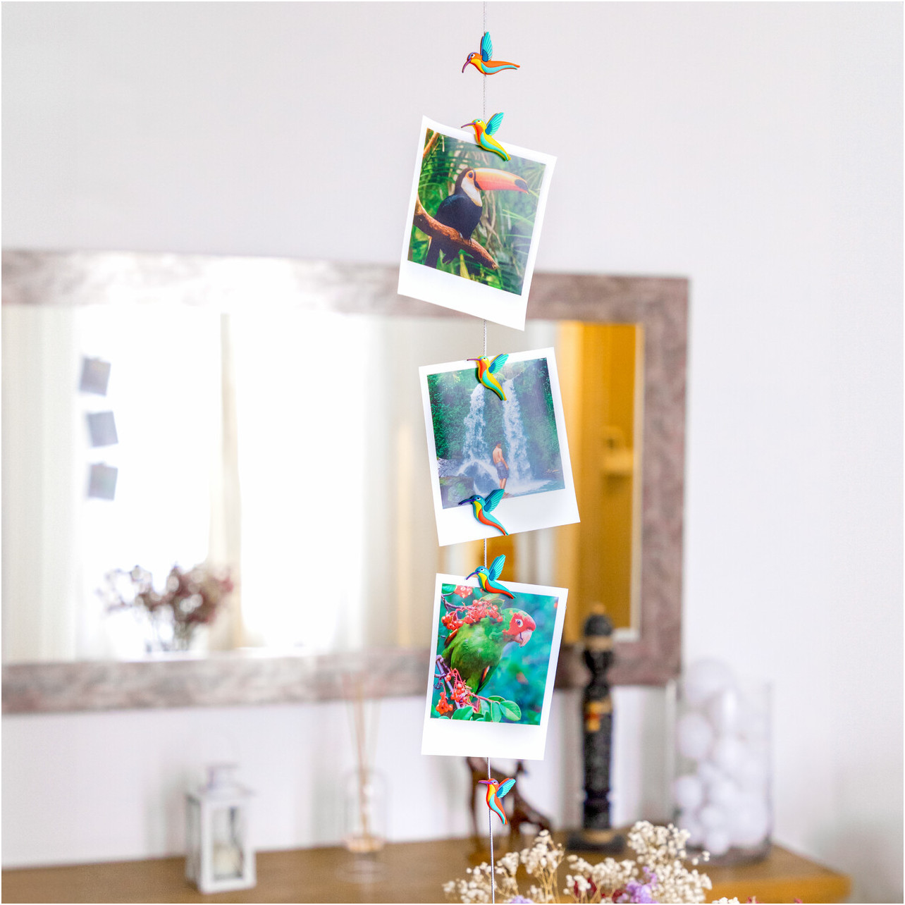 Photo holder cable and magnets - Magnetic Cable - Colibris Rouge - Pylones