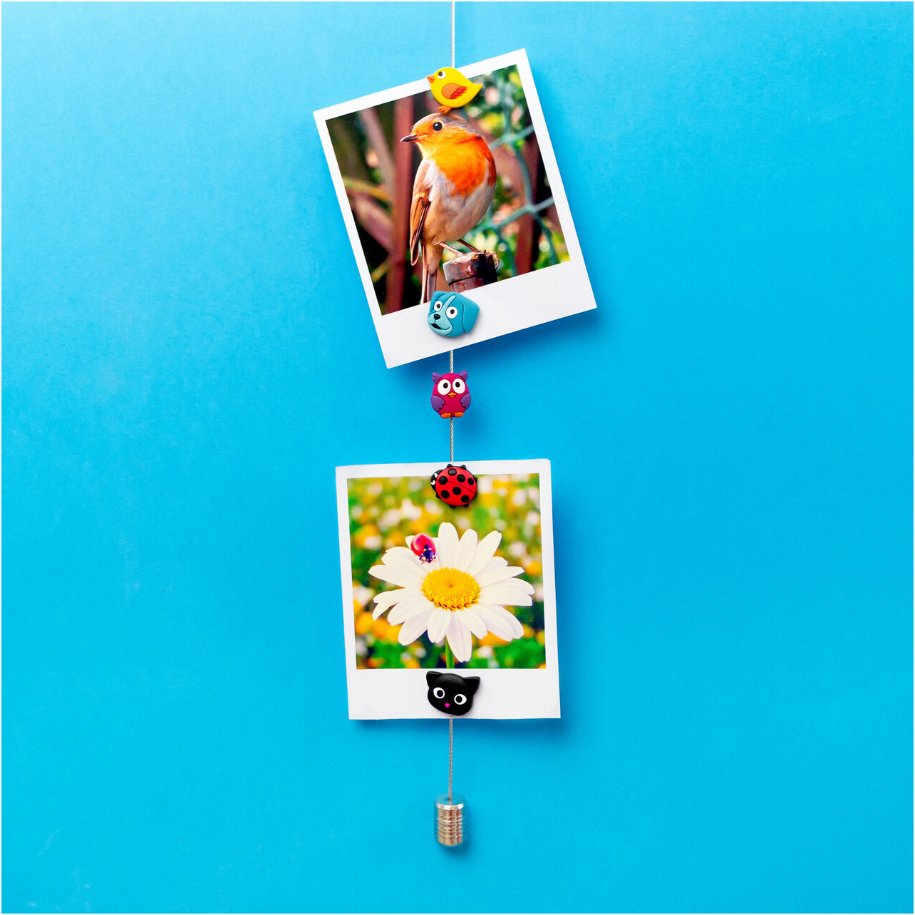 Photo holder cable and magnets - Magnetic Cable - Animals - Pylones