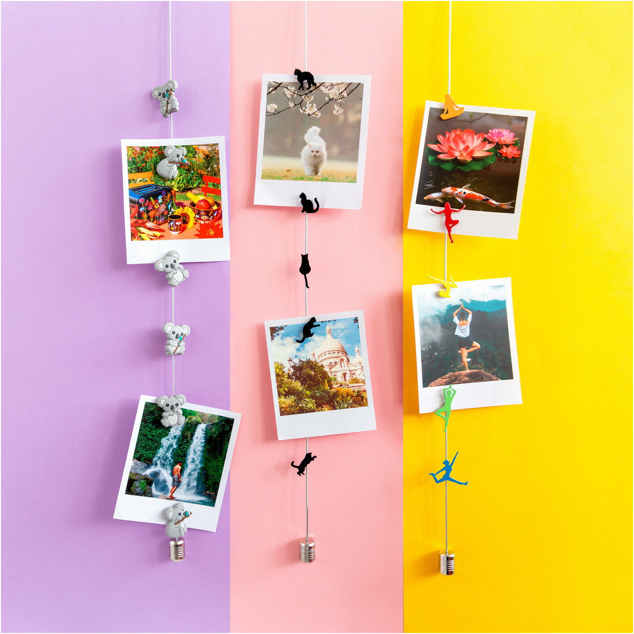 Photo holder cable and magnets - Magnetic Cable - Koala - Pylones