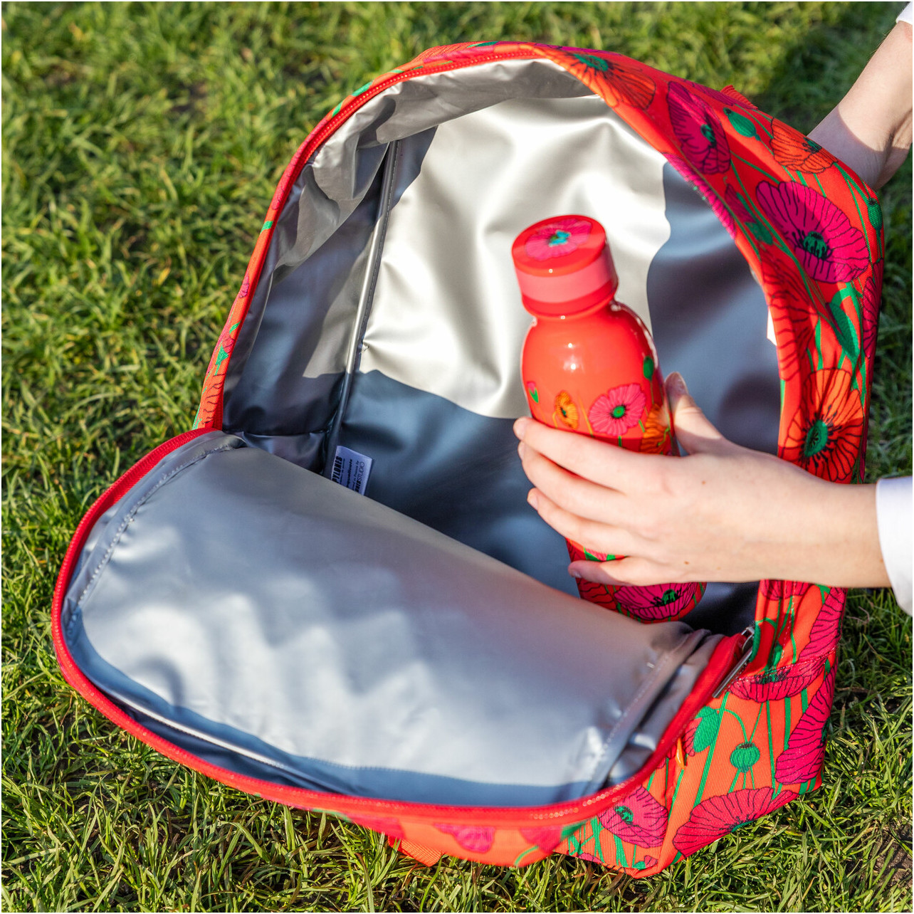 Insulated Backpack - Explorer Cool 22 liters - Coquelicots - Pylones