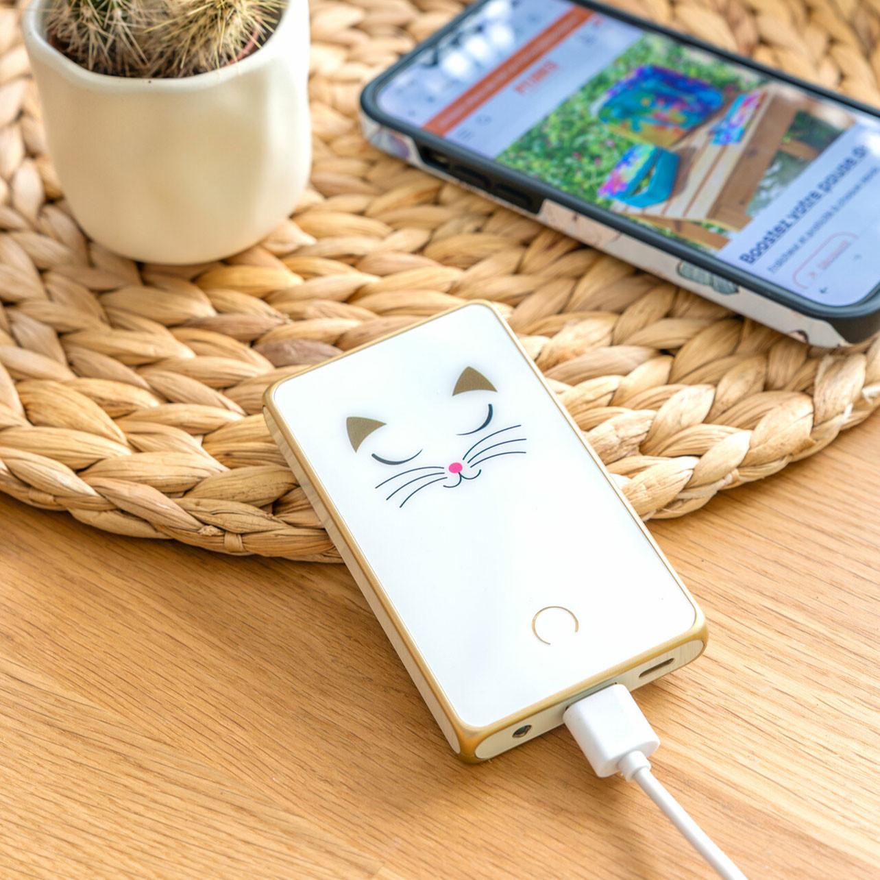 Portable battery - Get The Power 4 - White Cat - Pylones