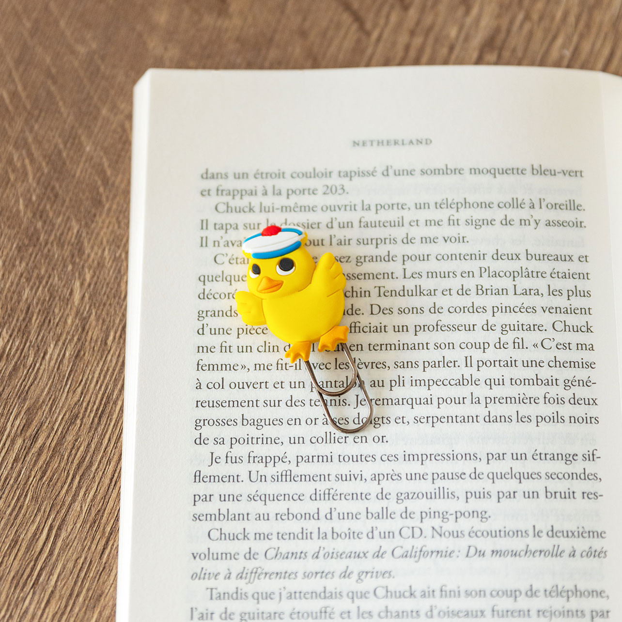 Ani-smallmark – Small bookmark - Duck - Pylones