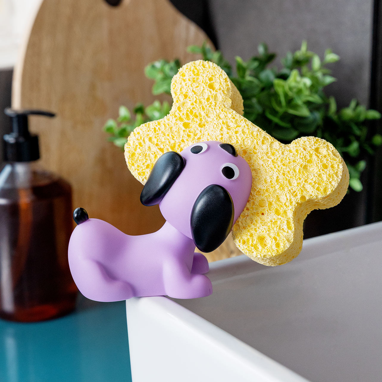 Sponge holder - Pylones