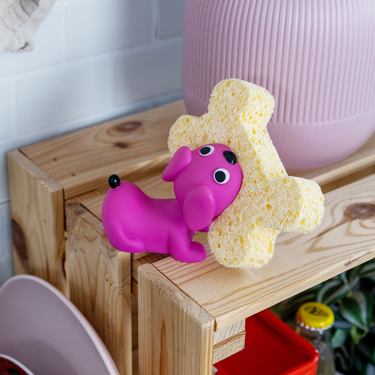 Sponge holder - Pylones