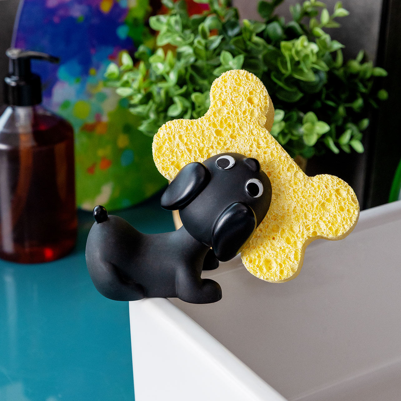 Sponge holder design and original - Clean - Black - Pylones