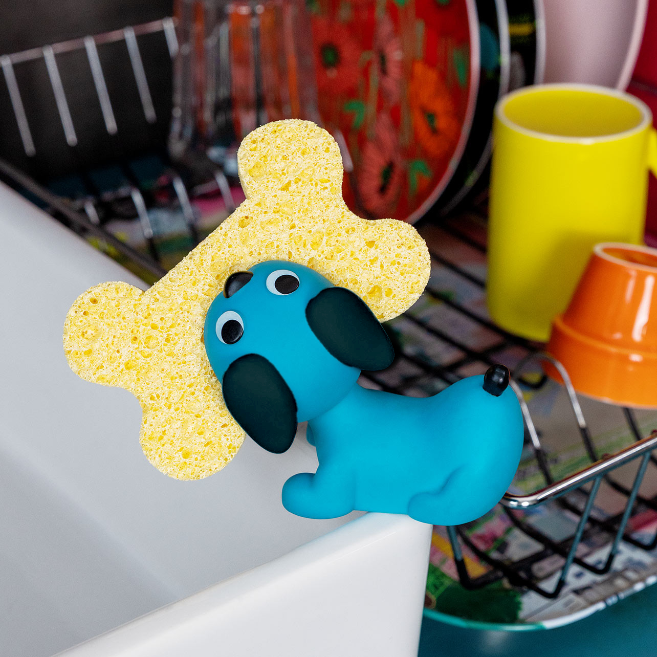 Sponge holder design and original - Clean - Blue - Pylones