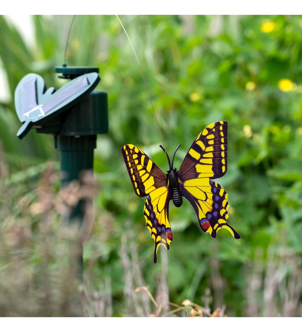 Solar butterfly - Pylones